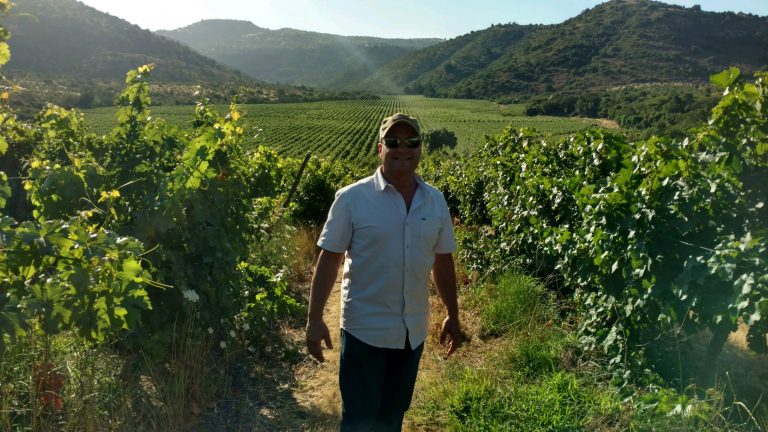 Blog - Gino Pinto Inc.